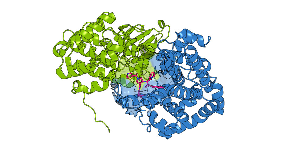 Expanding the drug target universe - Benjamin Cravatt, PhD - Scripps ...