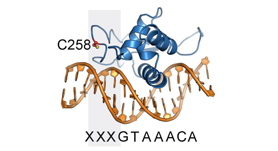 Expanding the drug target universe - Benjamin Cravatt, PhD - Scripps ...